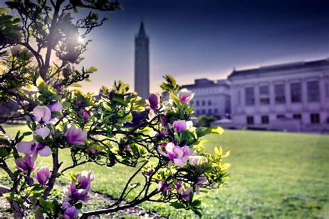 Astrophysics Phd Berkeley Graduate Division