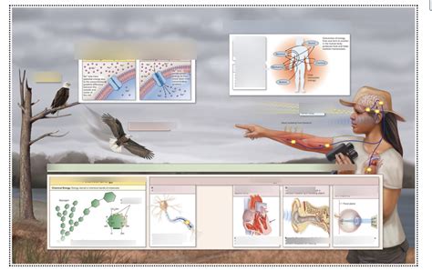 Potential Kinetic Energy Figure Diagram Quizlet