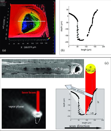 A 3d Morphology Of End Of Track Pore And B The Cross Section Of The Download Scientific