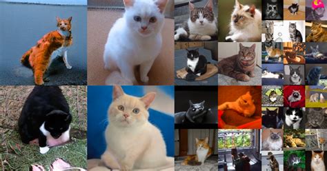 stylegan a style based generator architecture for generative