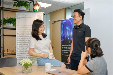 Fullstacknet Developer C Sql React Scandinavian Software Park By Monterro