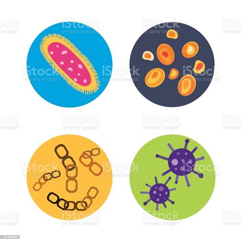박테리아 바이러스 미세한 격리 미생물 아이콘 인간의 미생물 유기 체 및 의학 감염 생물학 질병 병원 체 형 벡터 일러스트 레이 션 건강관리와 의술에 대한 스톡 벡터 아트 및