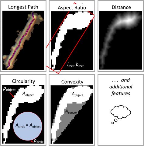 Automated Particle Quantification 2024 Wiley Analytical Science