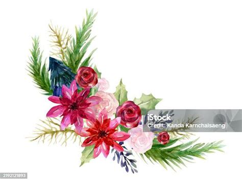 수채화 포인세티아 손으로 그린 겨울 메리 크리스마스와 새해 복 많이 받으세요 흰색 배경에 고립 된 화환 꽃다발 그림 12월에 대한 스톡 벡터 아트 및 기타 이미지 Istock