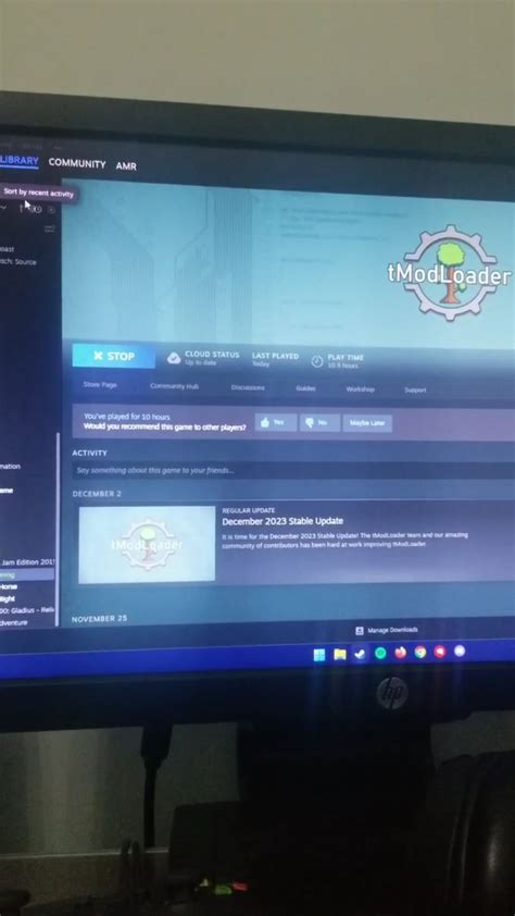 Does Anybody Know Why This Happen On Tmodloader Rterraria