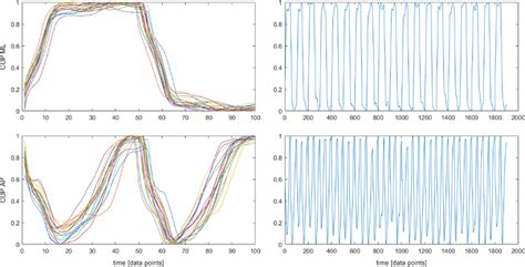 Segmented Spatially And Temporally Normalized Time Series Trajectory Download Scientific