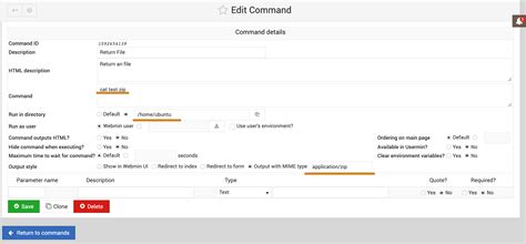 Custom Command With MIME Output Not Working With Authentic Theme