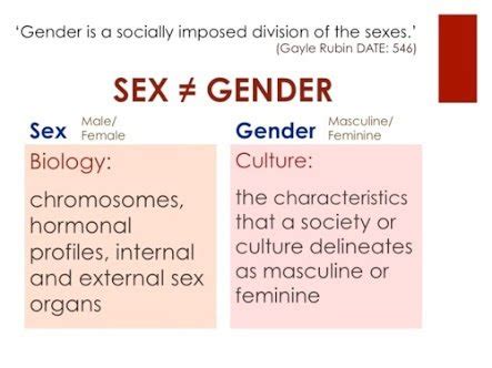 PSA Sex Vs Gender A Babe Bit Rant Y BabyCenter
