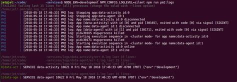 Cluster Mode And Npm Start Directs To Wrong Logs · Issue 3675 · Unitechpm2 · Github
