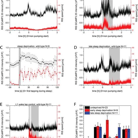 Algorithm And Computer Interface For Automatic Sleep Detection And