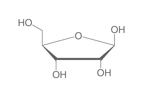 Ribose Diagram
