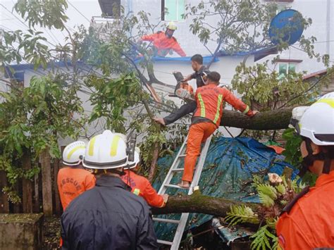 မိုးသည်းထန်စွာရွာသွန်းမှုကြောင့် လမ်းမပေါ် ကုက္ကိုပင်လဲကျ‌ခြင်းကို