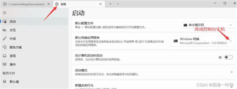 win dev cpp程序关闭时弹出cmd错误 xc 的解决方法 关机时cmd exe应用程序错误 CSDN博客