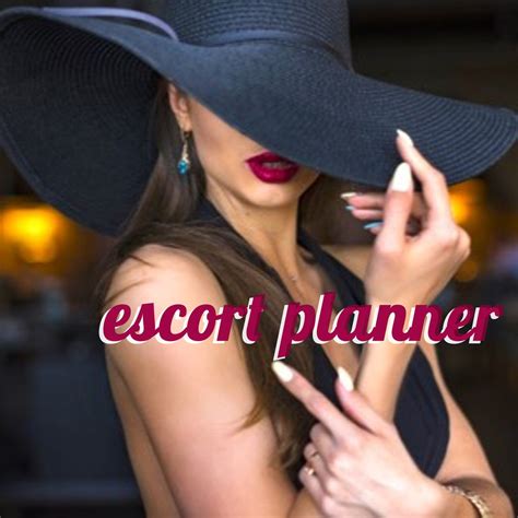 Sex Work Escort Planner Digital Pdf Printable Etsy