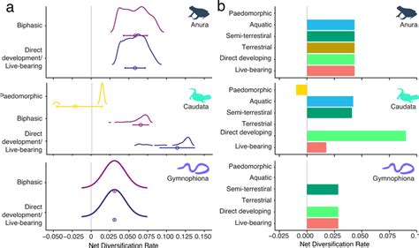 Net Diversification Rates Speciation Minus Extinction Per Download Scientific Diagram