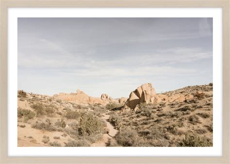 Desert Print Large Wall Art Joshua Tree Travel Photography Etsy