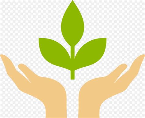 扁平卡通手捧植物PNG图片素材下载 图片编号ymrngmmo 免抠素材网