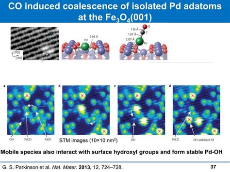 Understanding Dynamic Chemistry At The Catalytic Interface Ppt