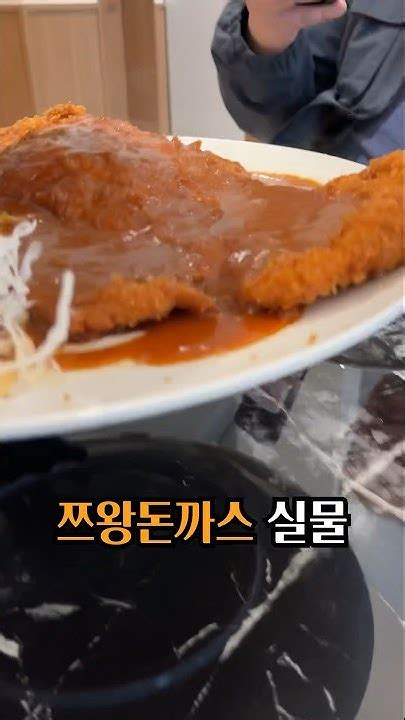 800만 유튜버 쯔양 쯔왕돈까스 실제 크기와 솔직 리뷰 Youtube