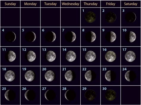 Moon Cycle With Days