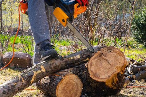 Premium Photo Men Sawing Apple Tree With A Chainsaw In His Backyard Worker Pruning Tree Trunk