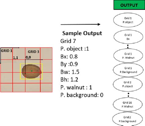 Figure 1 From A Raspberry Pi Guided Device Using An Ensemble Convolutional Neural Network For