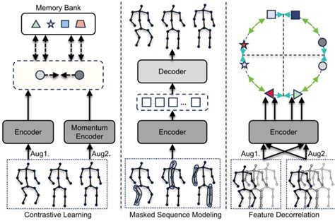 논문 리뷰 Usdrl Unified Skeleton Based Dense Representation Learning With Multi Grained Feature