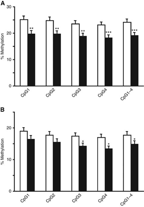 Oncogenic Role Of Pdk4 In Human Colon Cancer Cells Pmc