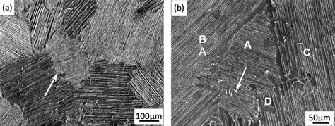 Microstructure Of The As Cast Tial Nb Alloy A Lamellar Colonies With