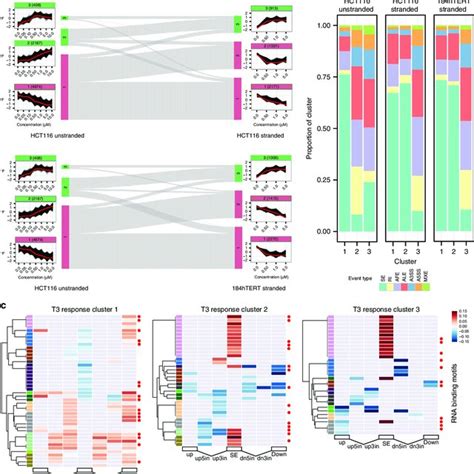 Heatmap Showing Significant Rbp Motif Density Differences In Cg