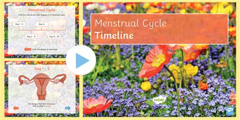 Sex And Relationships Education Menstruation Powerpoint