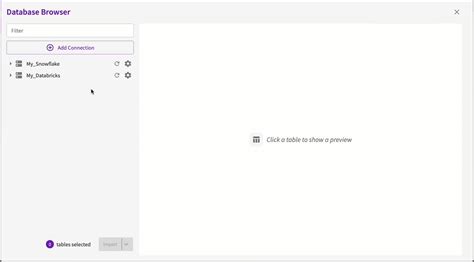 Database Connections Datachat Docs