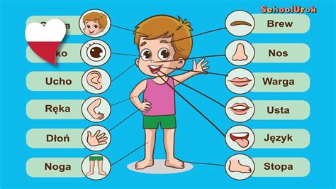 Частини тіла польською мовою для дітей Вікторина Youtube