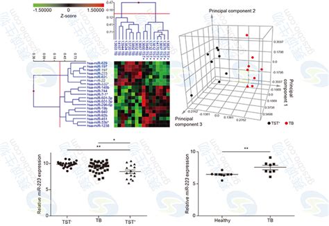 Figure的制作软件 技术专题 停用 广州赛诚生物科技有限公司 服务于您的核心利益！