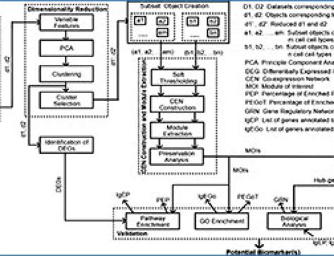How To Analyze RNA Seq Data RNA Seq Blog