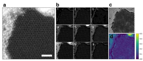 Ensemble Prediction Of Live Experimental Data Graphene Lattice Shown Download Scientific