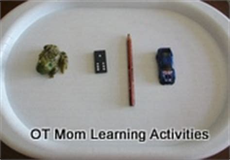 Visual Sequential Memory Activities Boost Reading Spelling Skills