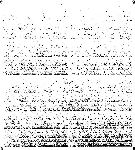 Figure 3 From Chaos Game Representation Of Gene Structure Semantic