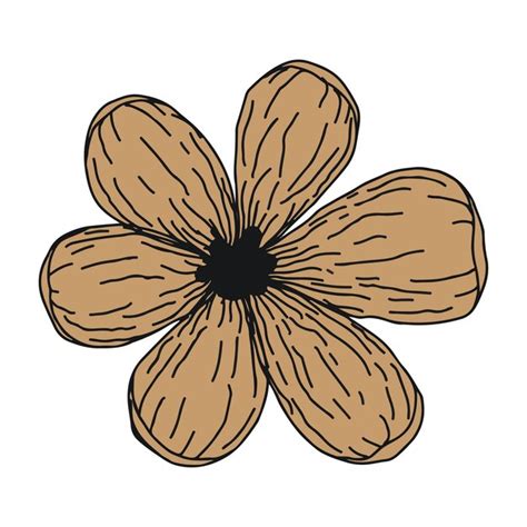 Nutan Flower Vectors And Illustrations For Free Download Freepik