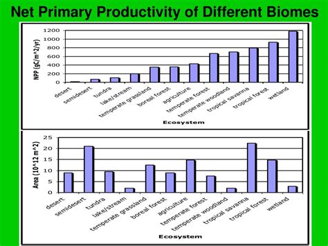 PPT Primary Productivity PowerPoint Presentation Free Download ID 2752052
