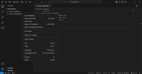 Sqlite Explorer Not Showing Up In Vs Code When I Try To Open Database Rsql