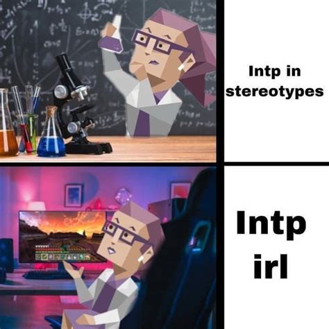 Intp Irl Rmbtilab