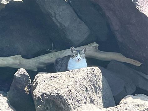 錦江湾奥 若尊鼻 uraちゃん