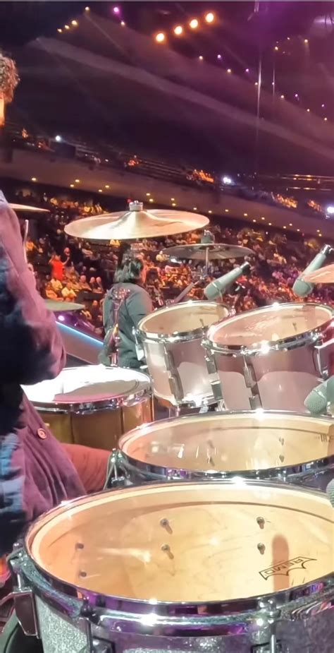 Can Anyone Identify These Mics R Livesound