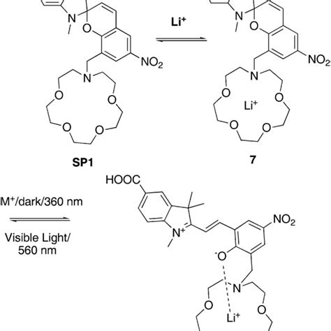 Structures Of Spiropyran Sp Closed And Merocyanine Mc Opened Download Scientific Diagram