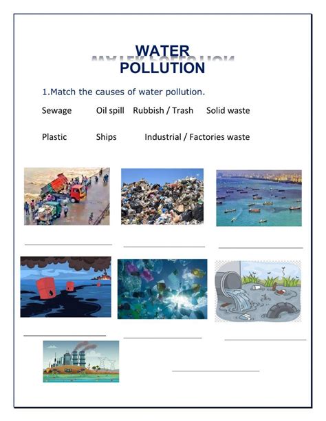 Water Pollution Interactive Activity Worksheets Library