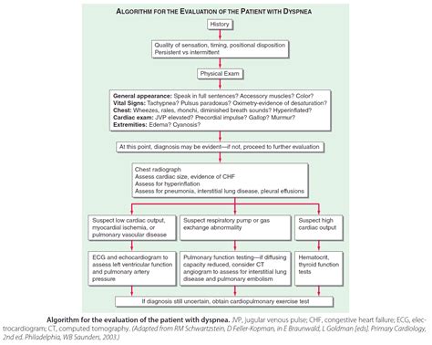 Shortness Of Breath Dyspnea Differential Diagnosis Examination And