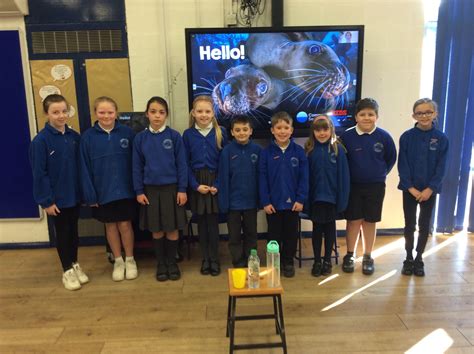 Assembly Plastic Clever Schools