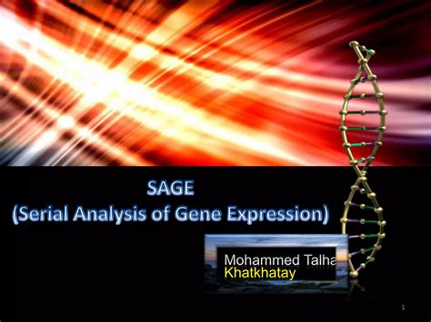 Sage Serial Analysis Of Gene Expression Pptx