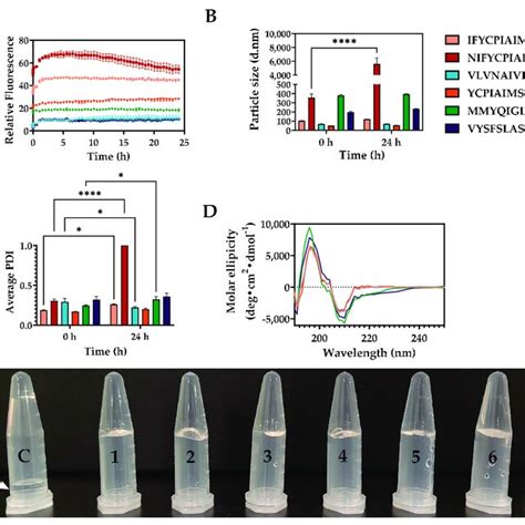 A Thioflavin T Fluorescence Kinetics B Particle Diameter C Download Scientific Diagram